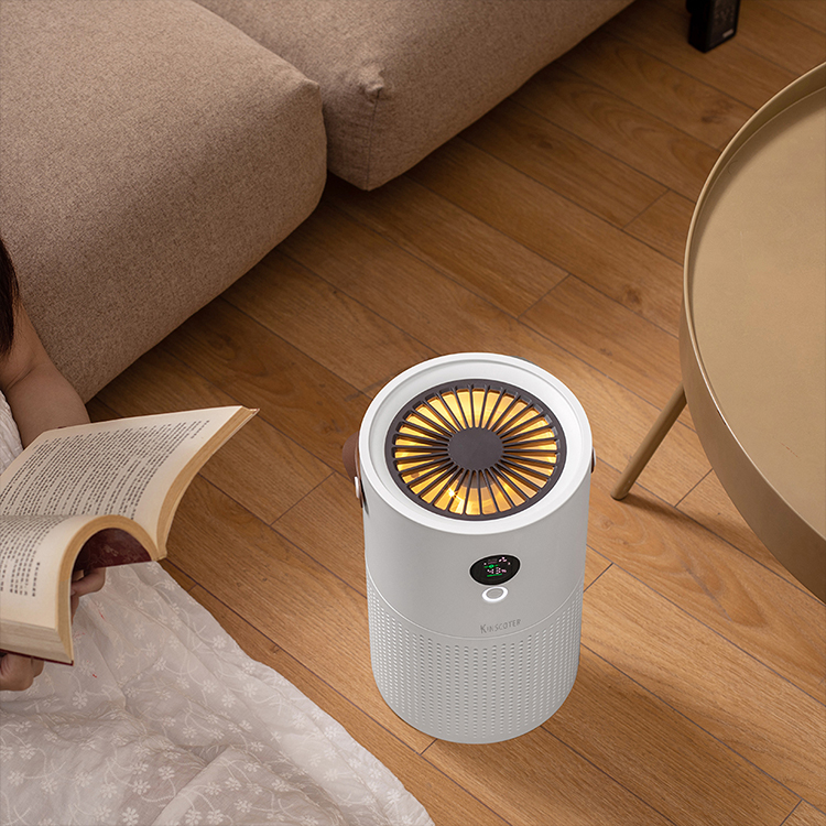 Air Humidifier Vs Air Purifier What Is The Difference Air Humidifier Vs Air Purifier air-humidifier-vs-air-purifier-what-is-the-difference-air-humidifier-vs-air-purifier